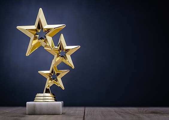 Wybory redakcji 2022 - bikeBoard